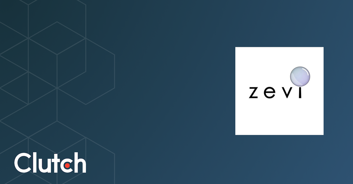 Zevi - Services & Company Info