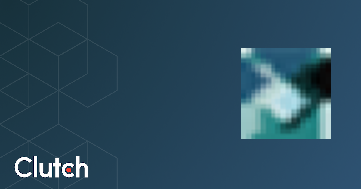 Professional Career Solutions - Services & Company Info