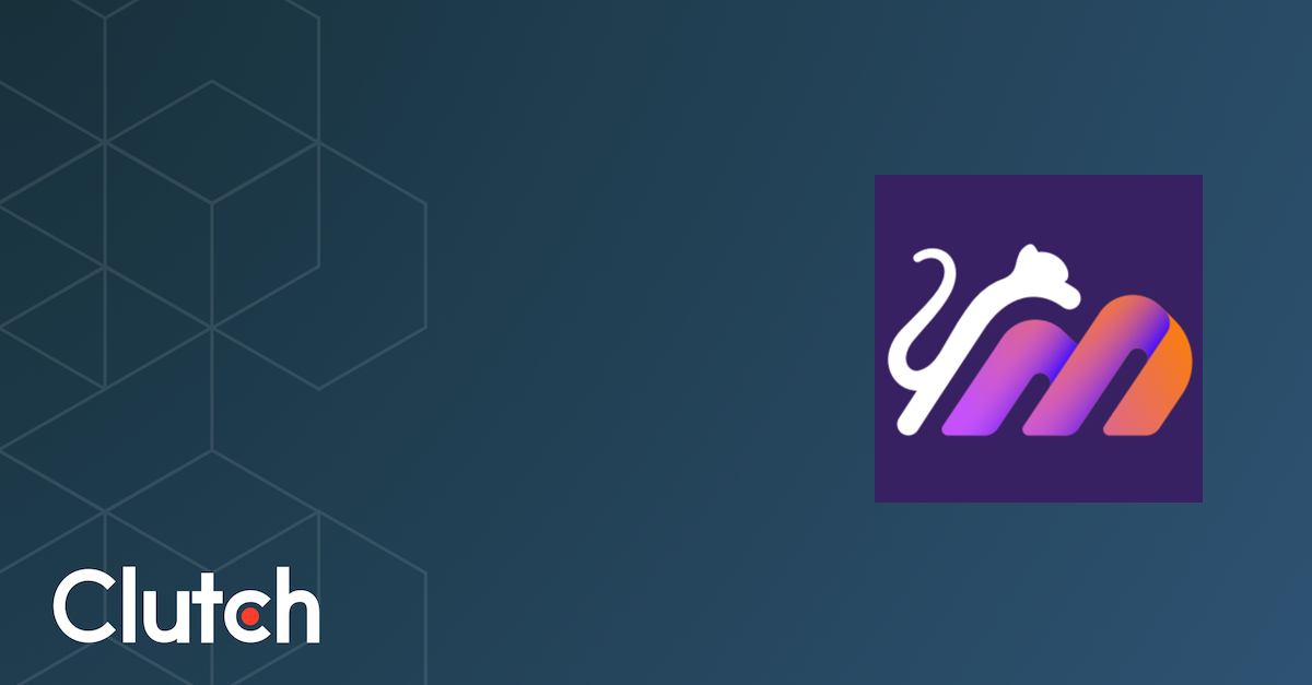 Mongoose Software - Services & Company Info