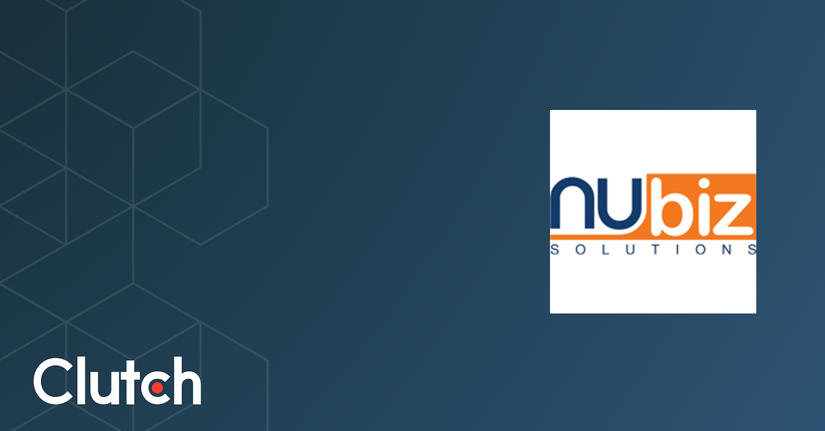 Nubiz Solutions Pvt Ltd - Services & Company Info