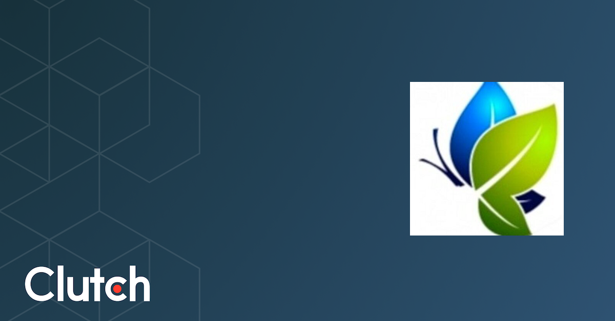 Triad Web Design Service - Services & Company Info