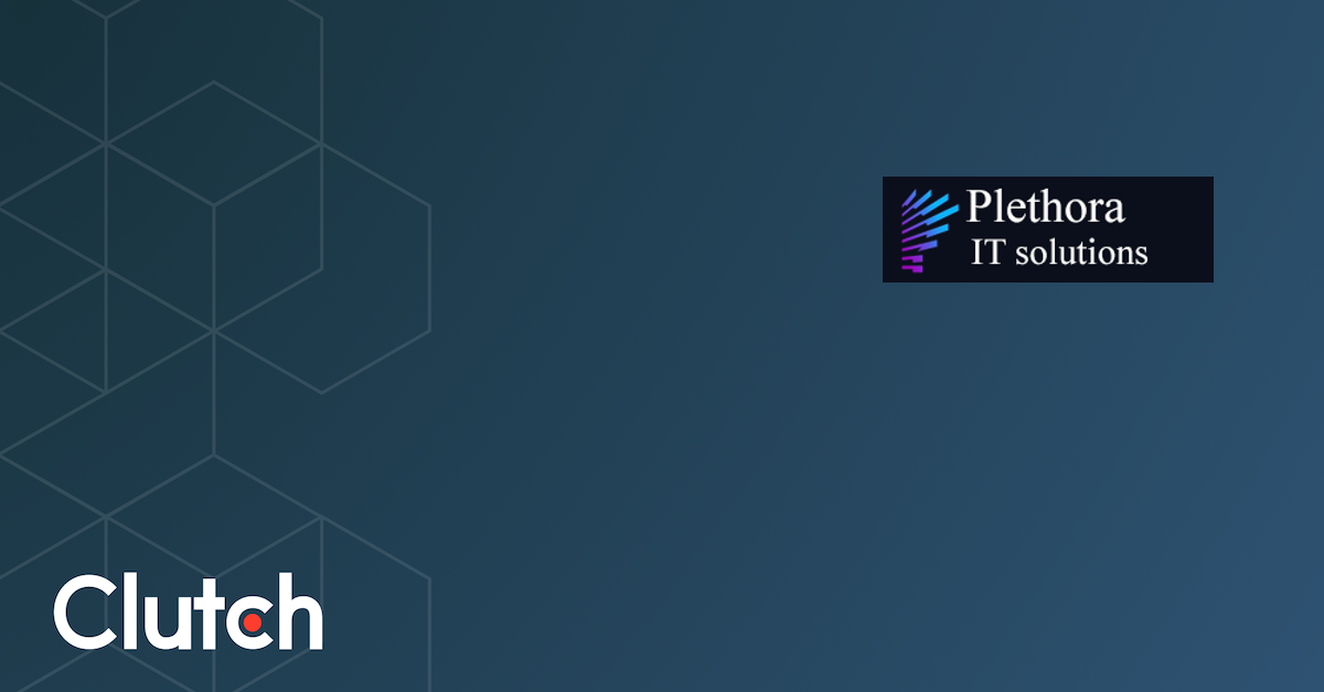 PLETHORA IT & HR SOLUTIONS - Services & Company Info