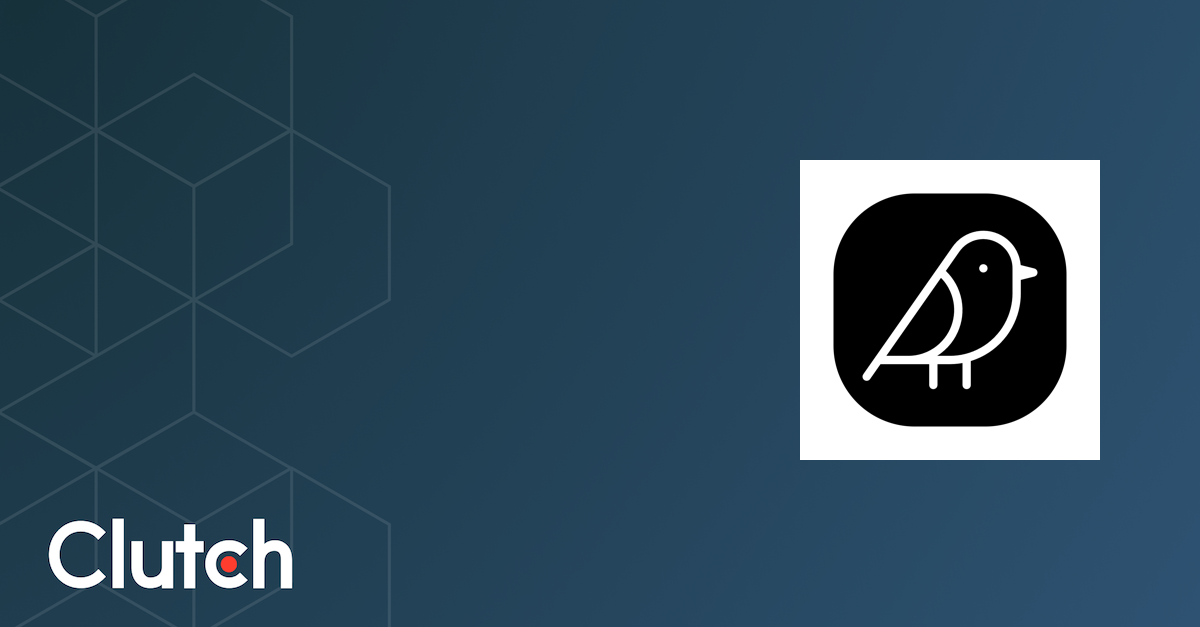 Jaro.dev - Services & Company Info