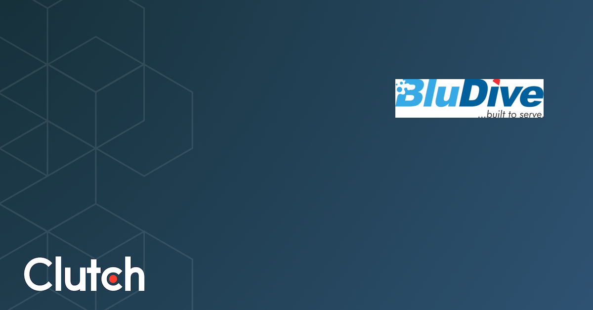 BluDive Technologies Ltd - Services & Company Info