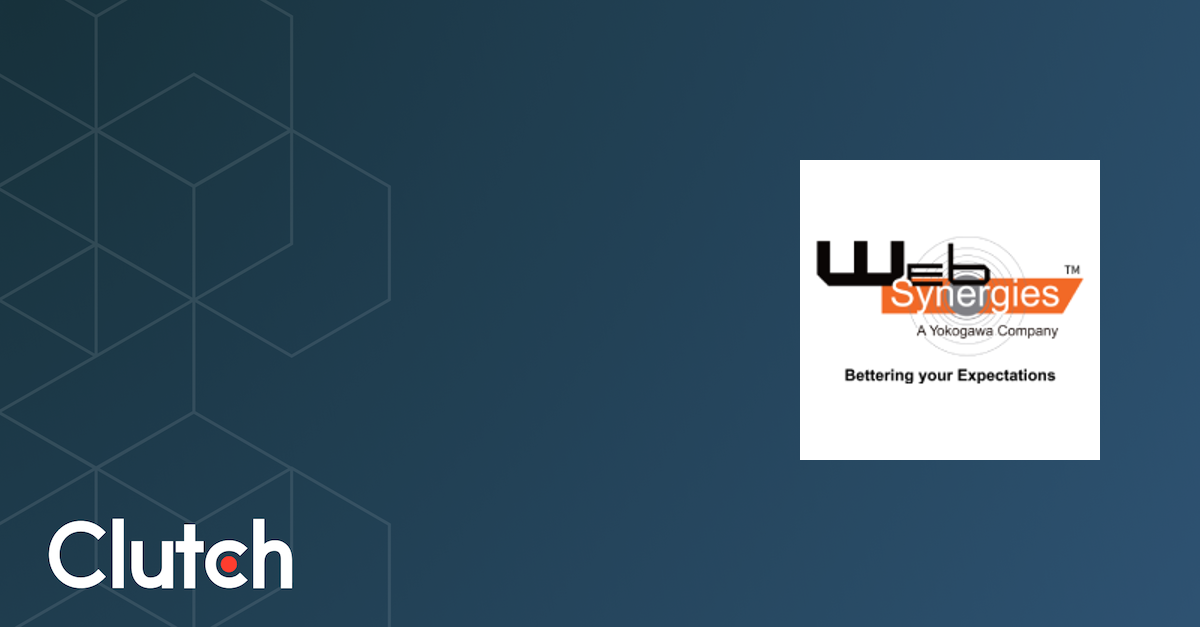 Web Synergies - Services & Company Info