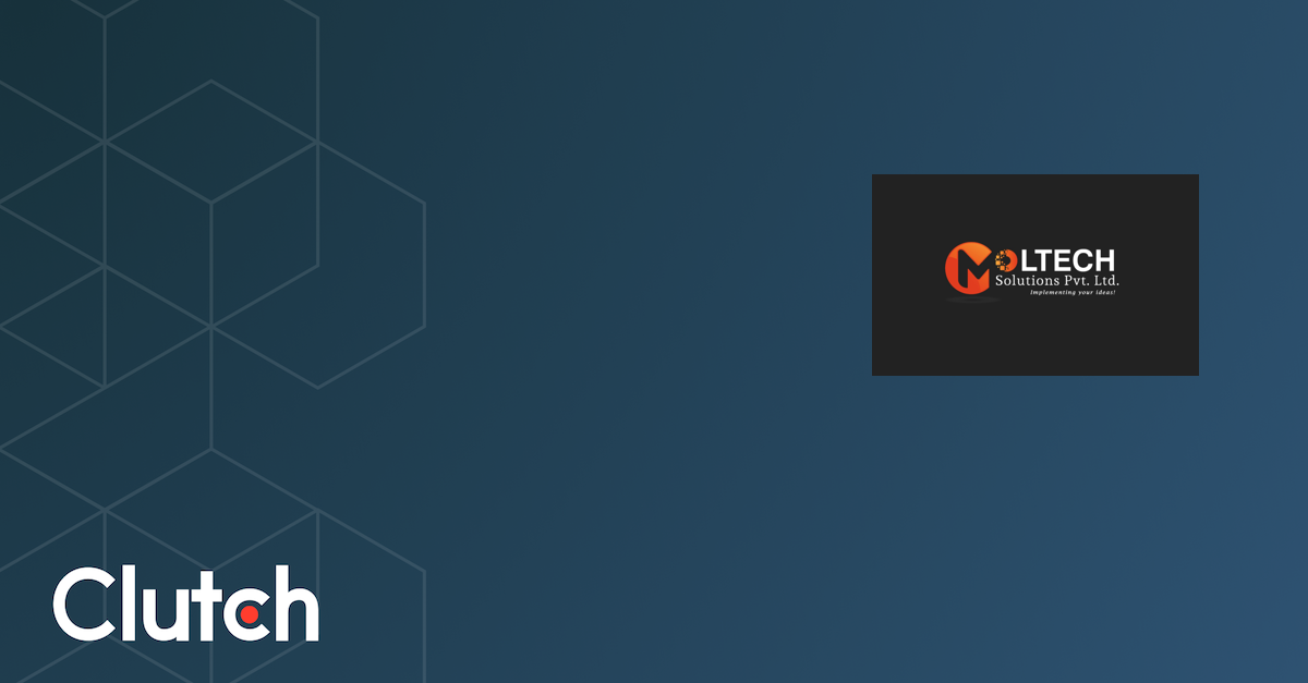 Moltech Solutions - Services & Company Info