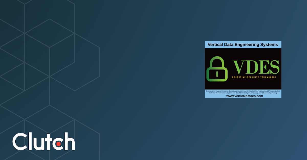 Vertical Data Engineering Systems-VDES - Services & Company Info