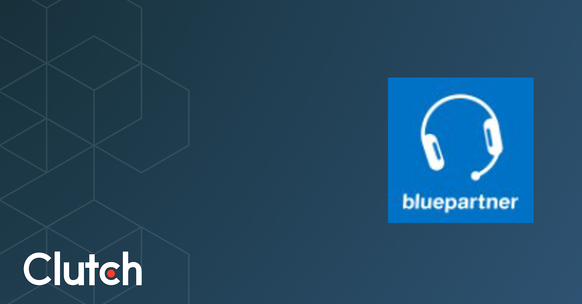bluepartner GmbH - Services & Company Info