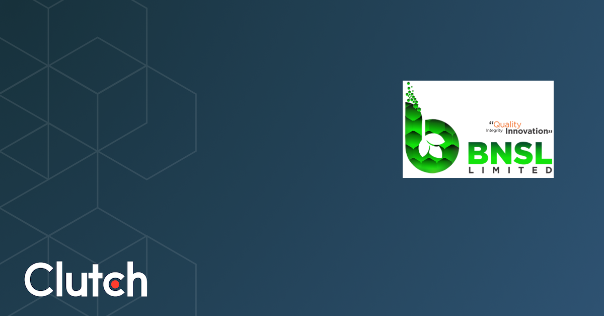 BNSL LIMITED - Services & Company Info