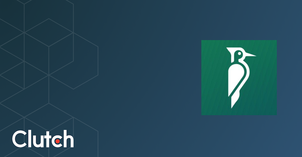 Accelerate Now Law Firm Marketing - Services & Company Info