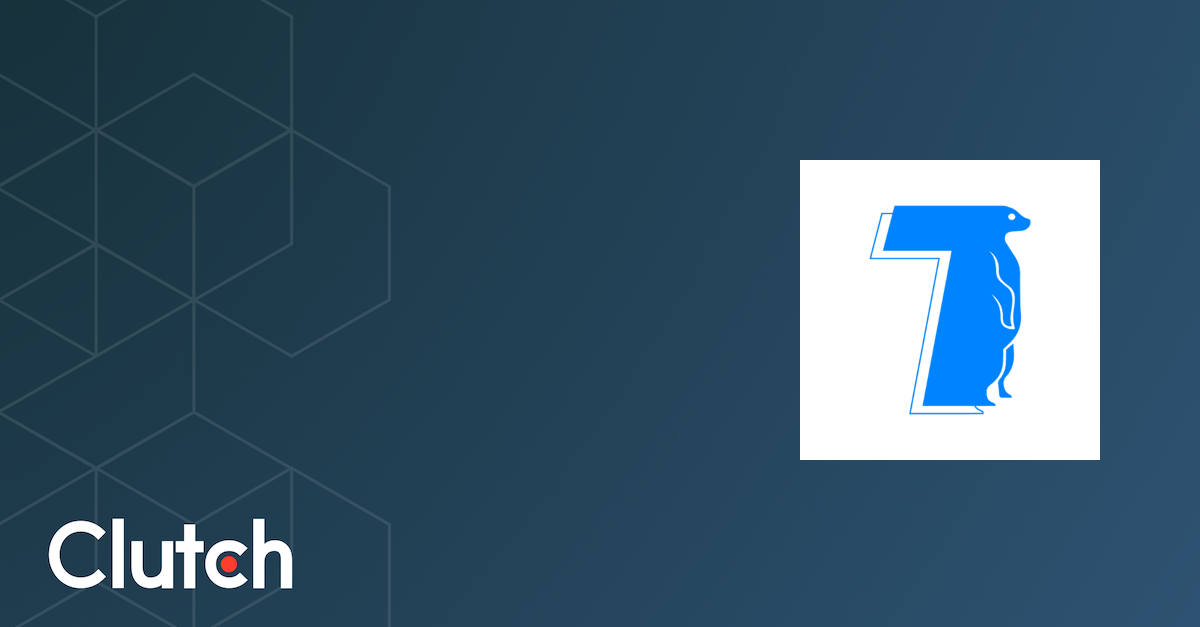 Techlane - Services & Company Info