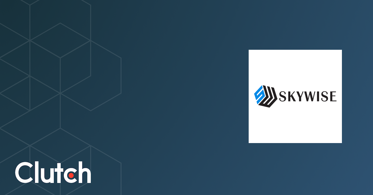 SkyWise Digital - Services & Company Info