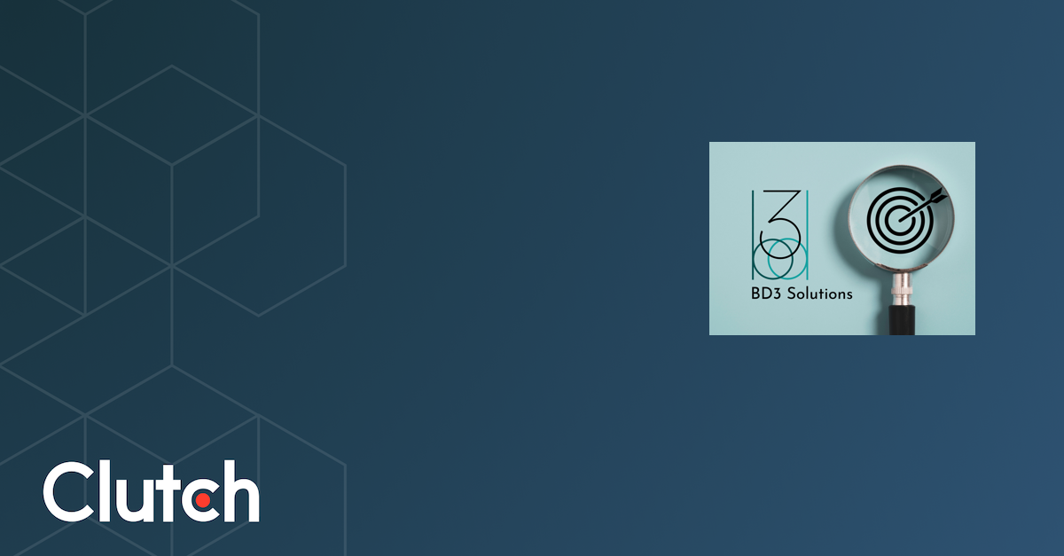 BD3 Solutions - Services & Company Info