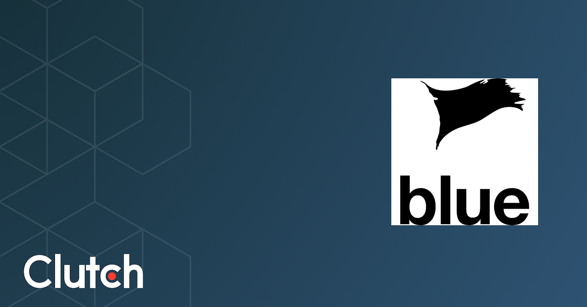 Blue Visual Effects, Inc. - Services & Company Info