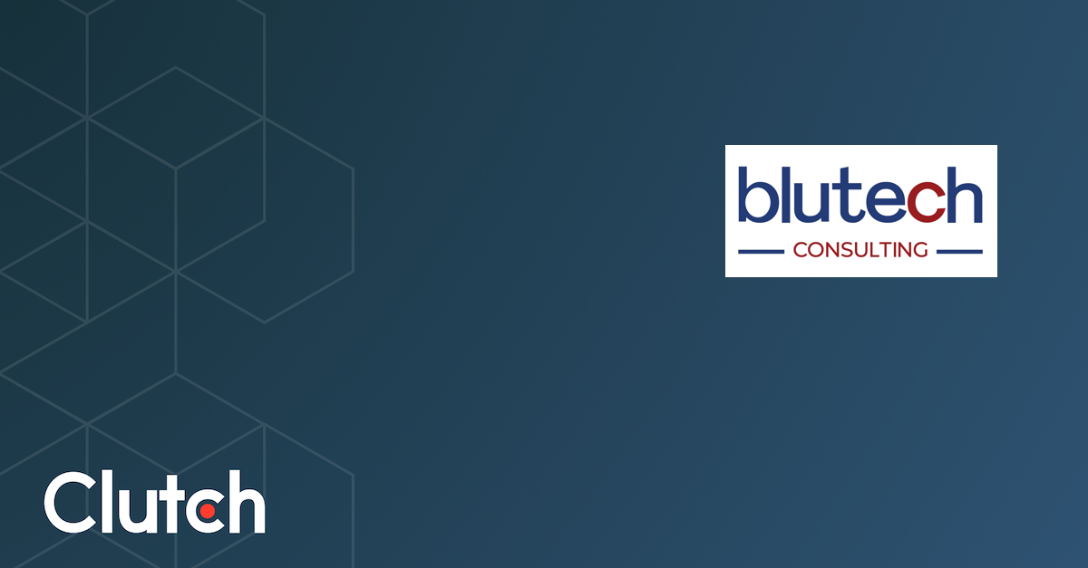 Blutech Consulting - Services & Company Info