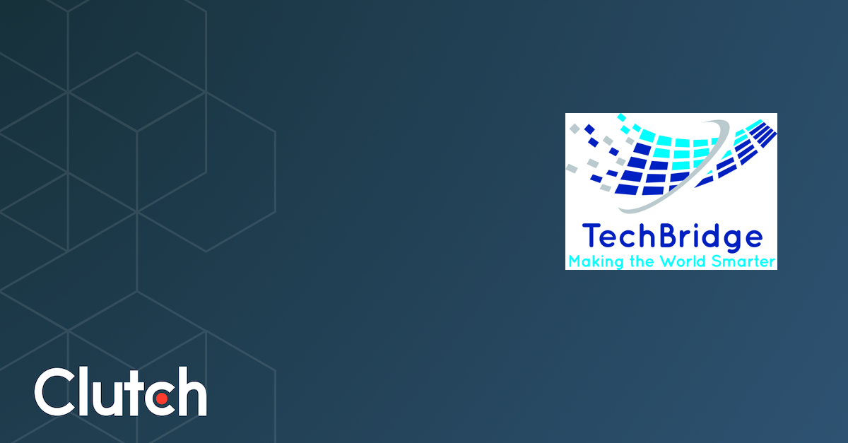 TechBridge Consultancy Services LLP Reviews (2), Pricing, Services & Verified Ratings