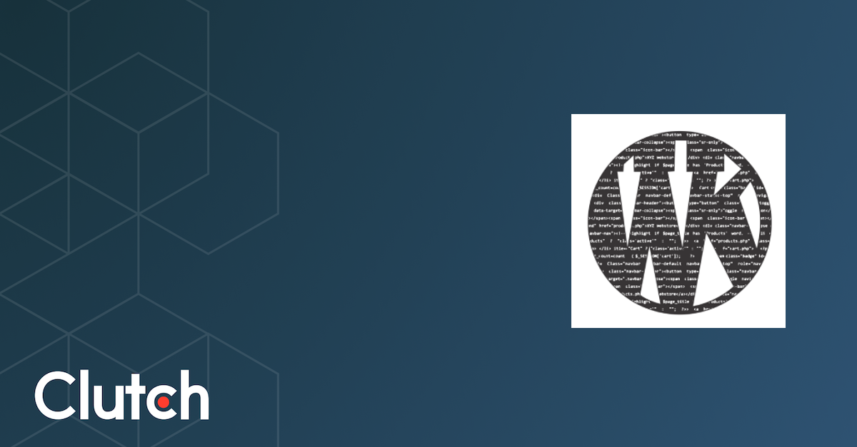 WebKnight Infosystem - Services & Company Info