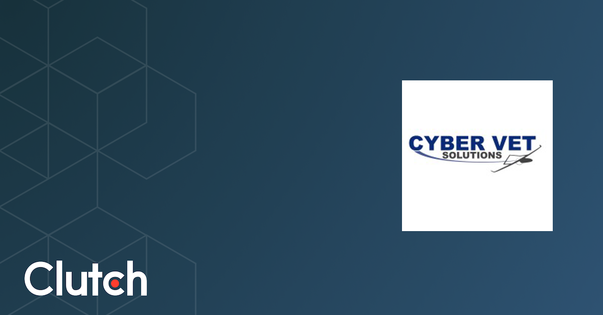 Cyber Vet Solutions, LLC - Services & Company Info