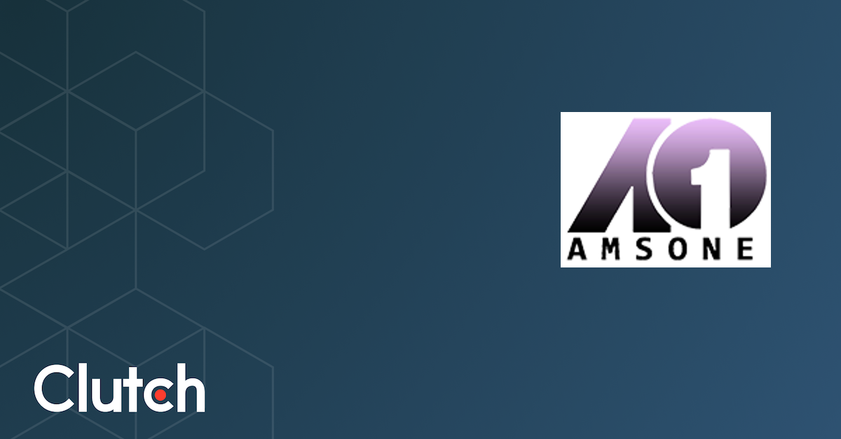 Amsone Integrations - Services & Company Info