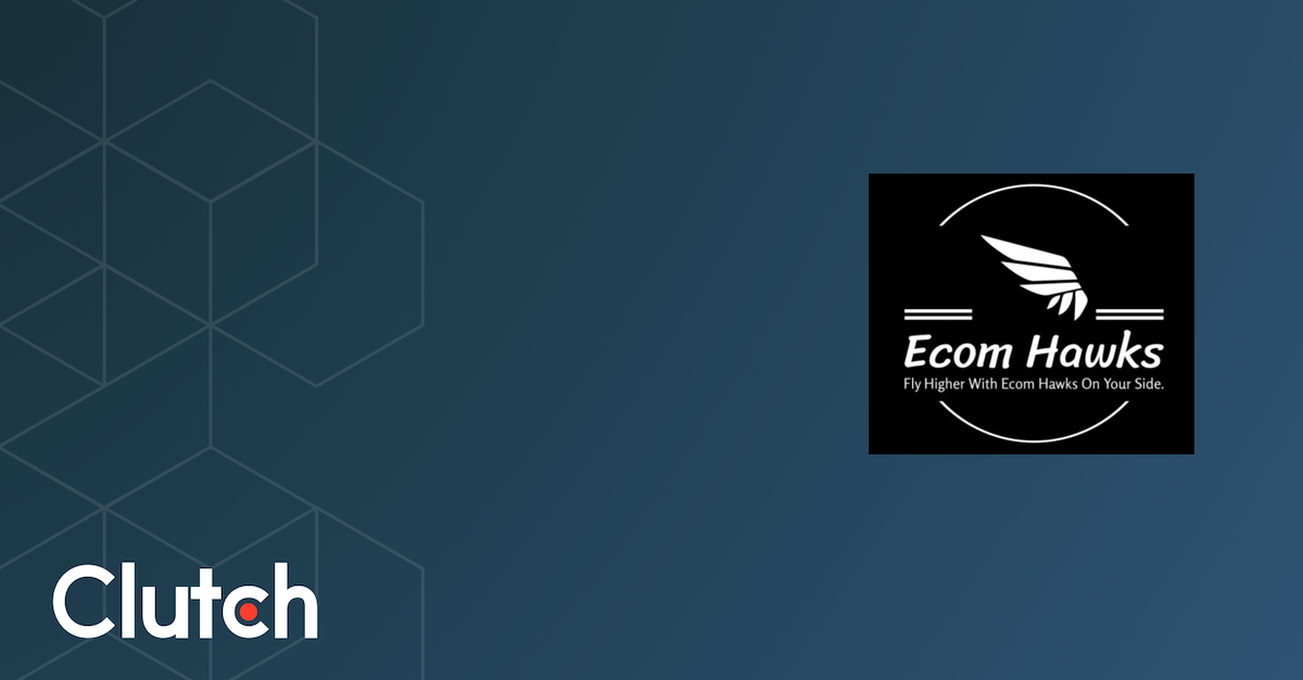 Ecom Hawks - Services & Company Info