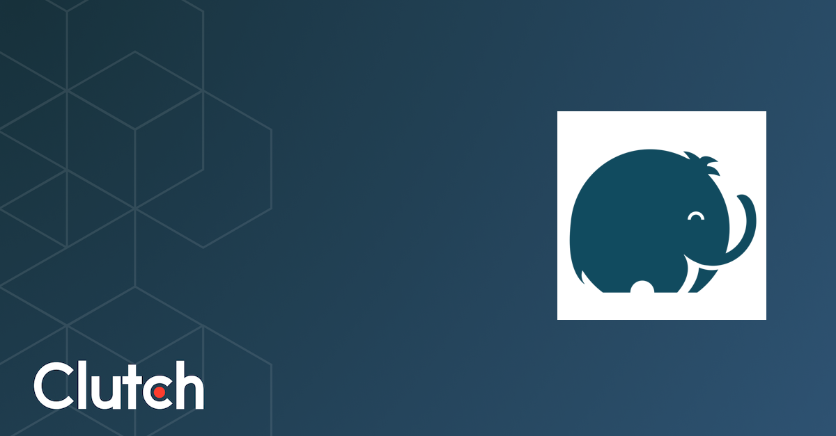 Skill Mammoth Reviews (9), Pricing, Services & Verified Ratings