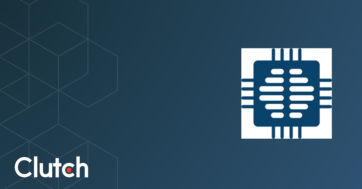 Innodata Inc. - Services & Company Info