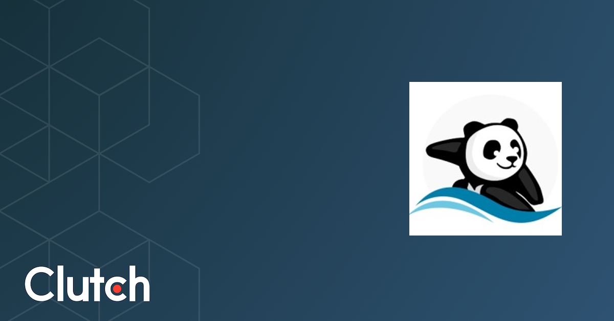 Lightpanda - Services & Company Info