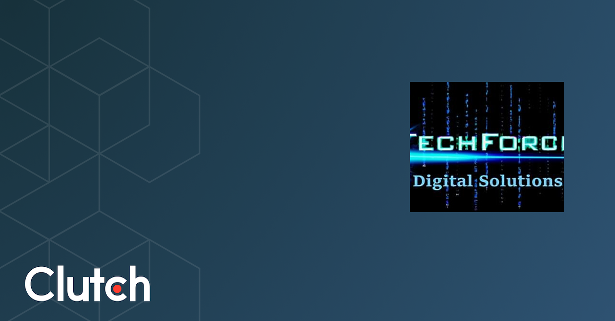 Techforce Digital Solutions LLC - Services & Company Info