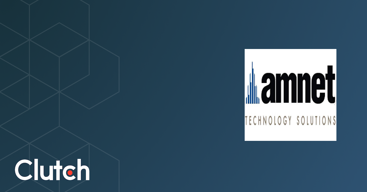 amnet Systems LLC, Address, Data & More