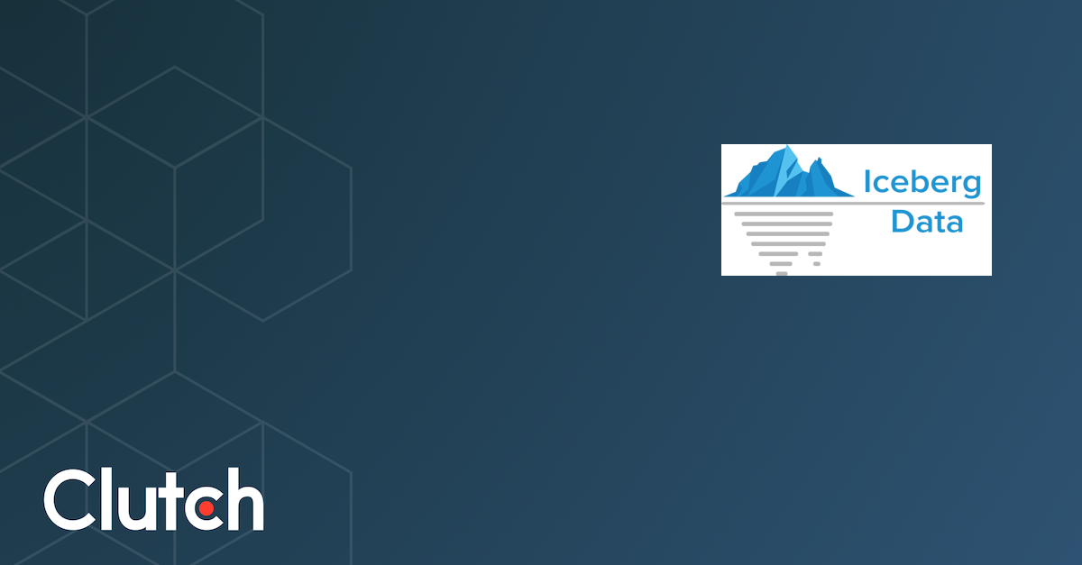 Iceberg Data LLC - Services & Company Info