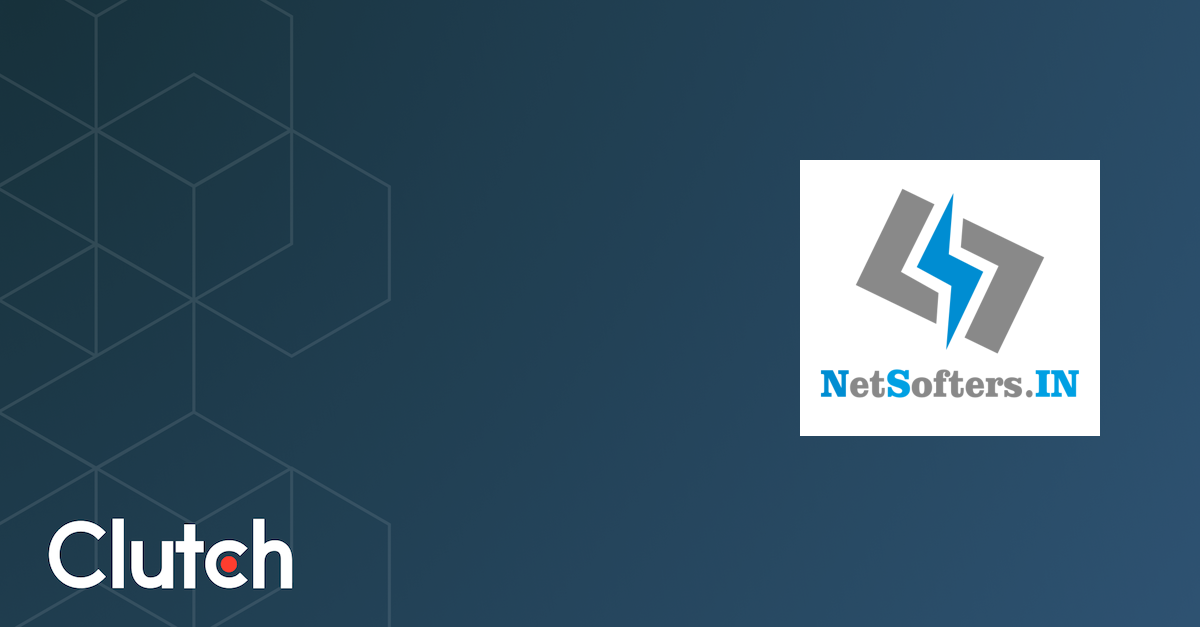 NetSofters LLP - Services & Company Info