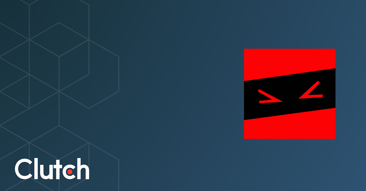 RedNinjas LTD - Services & Company Info