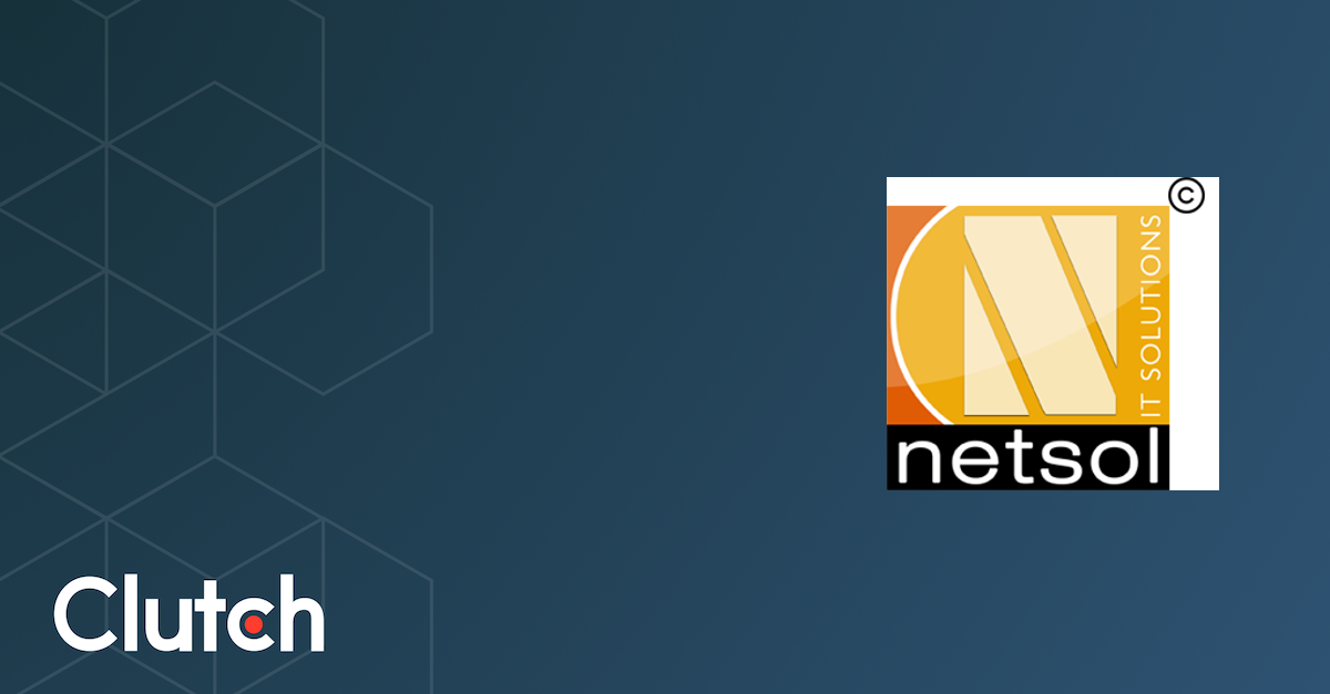 Netsol IT Solutions Pvt. Ltd. - Services & Company Info