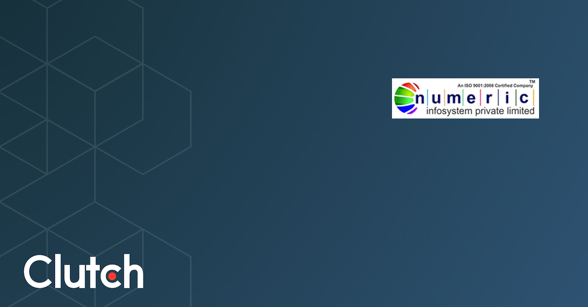 Numeric Infosystem Pvt Ltd - Services & Company Info