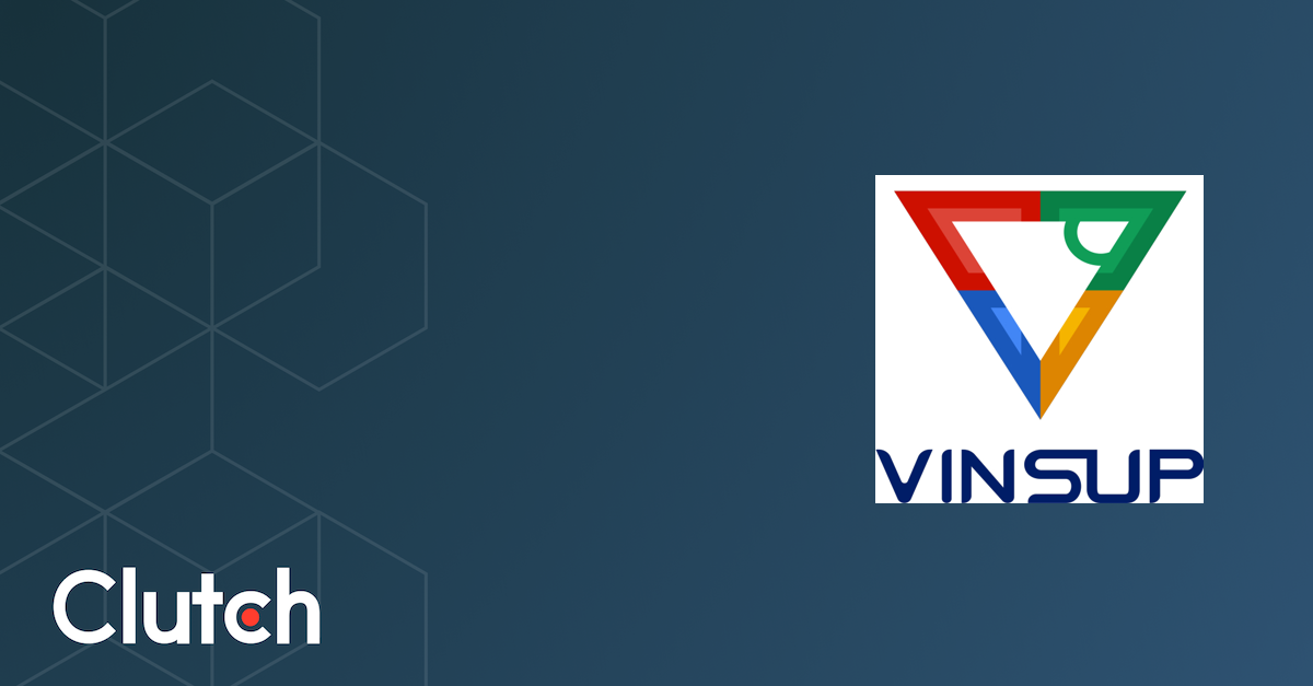 Vinsup Infotech (P) Ltd - Services & Company Info