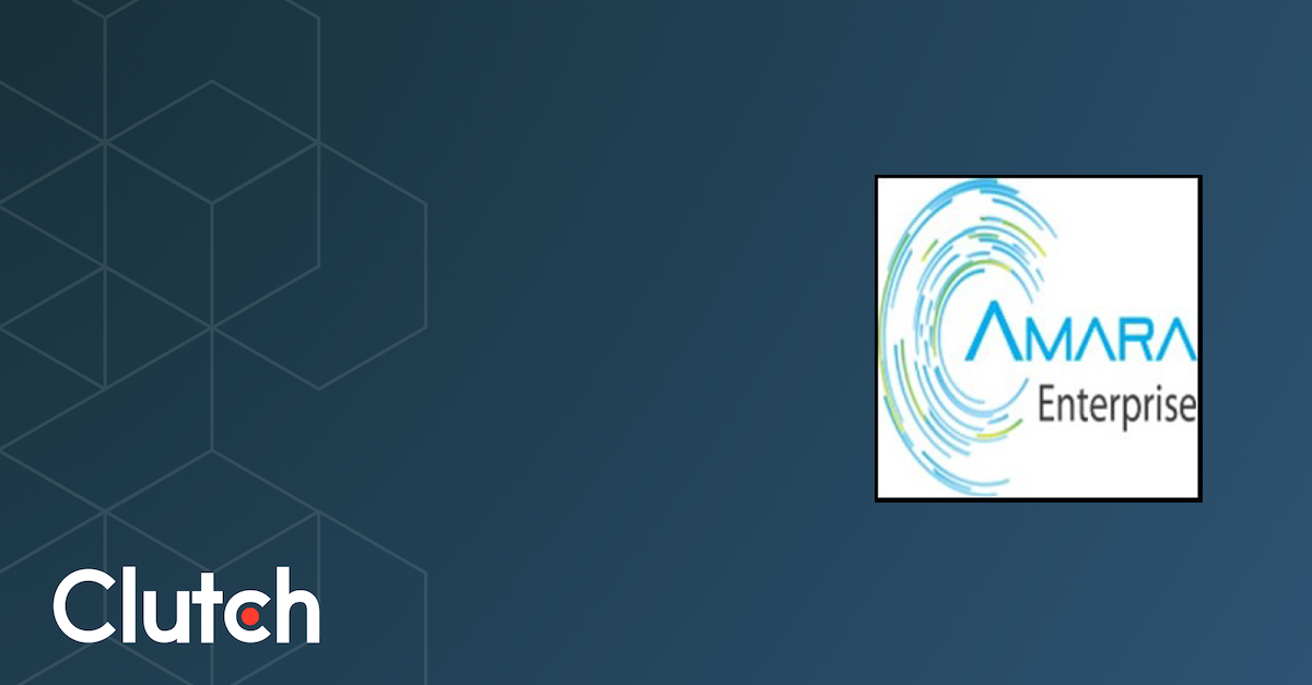 Amara Enterprise LLC - Services & Company Info