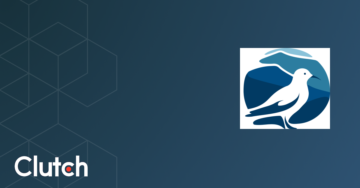 Seagull Software Development - Services & Company Info