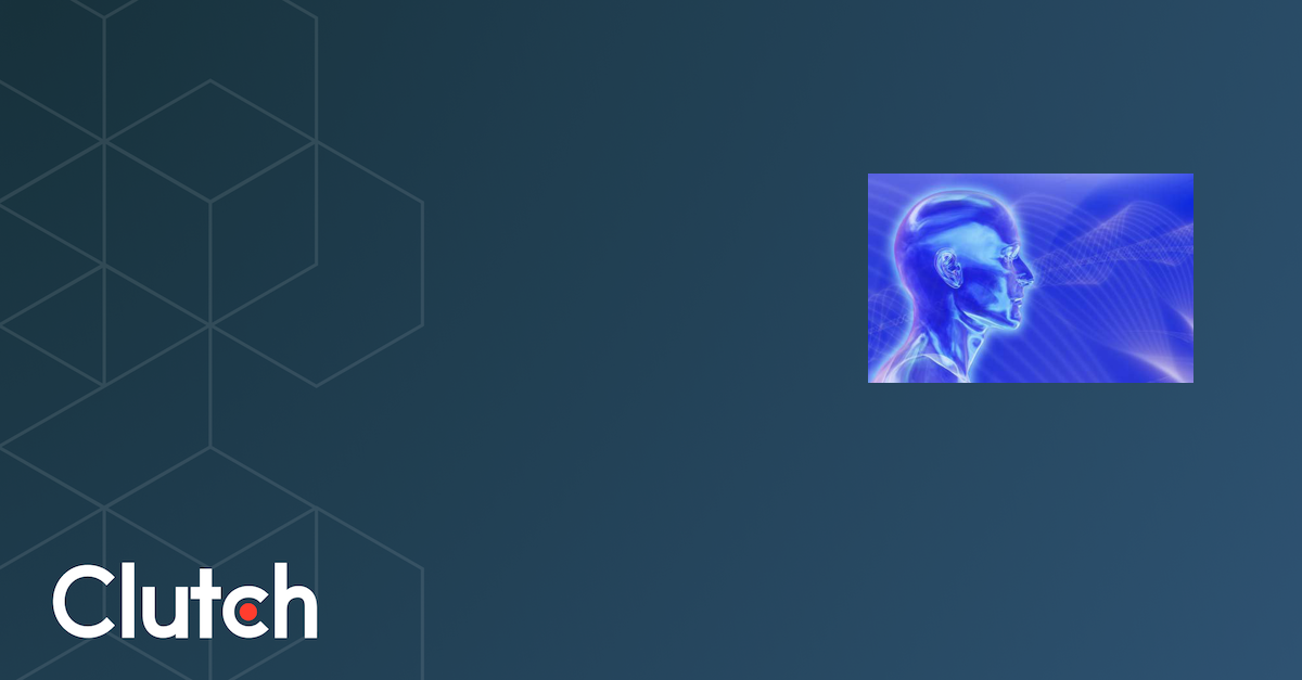 The Cyber Fusion, Inc - Services & Company Info