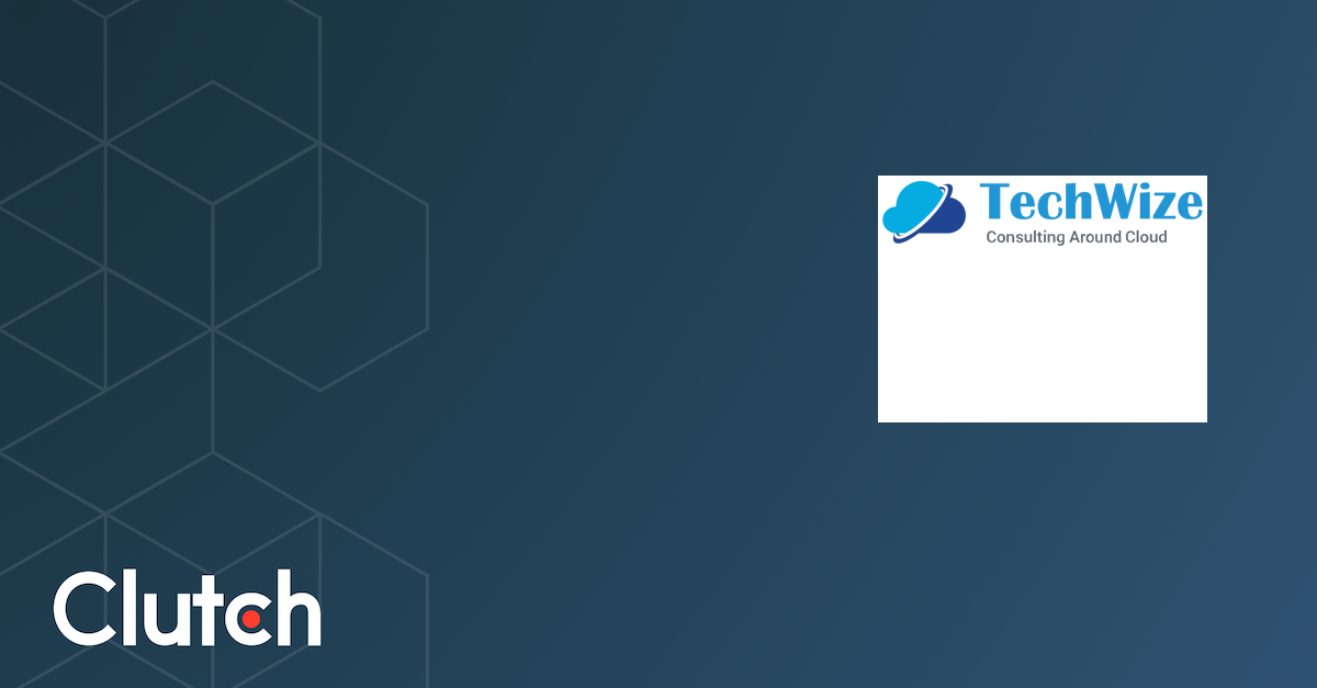 TechWize Reviews (20), Pricing, Services & Verified Ratings