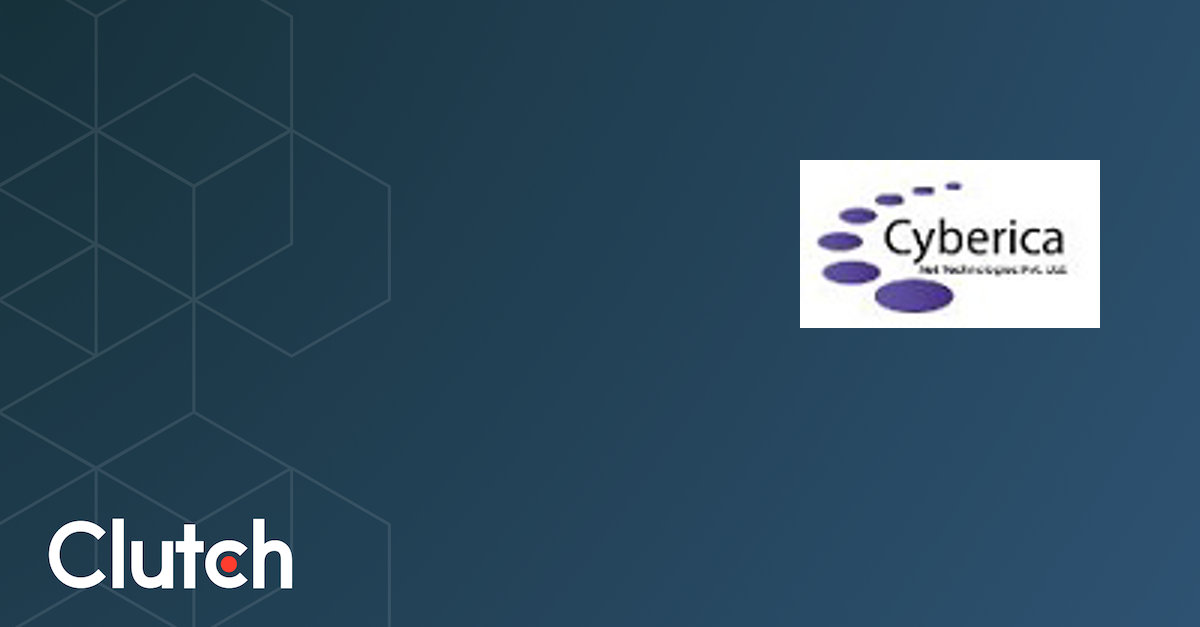 Cyberica Net Technology - Services & Company Info