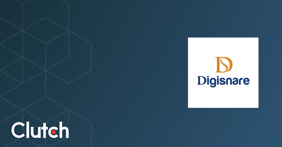 Digisnare Technologies - Services & Company Info
