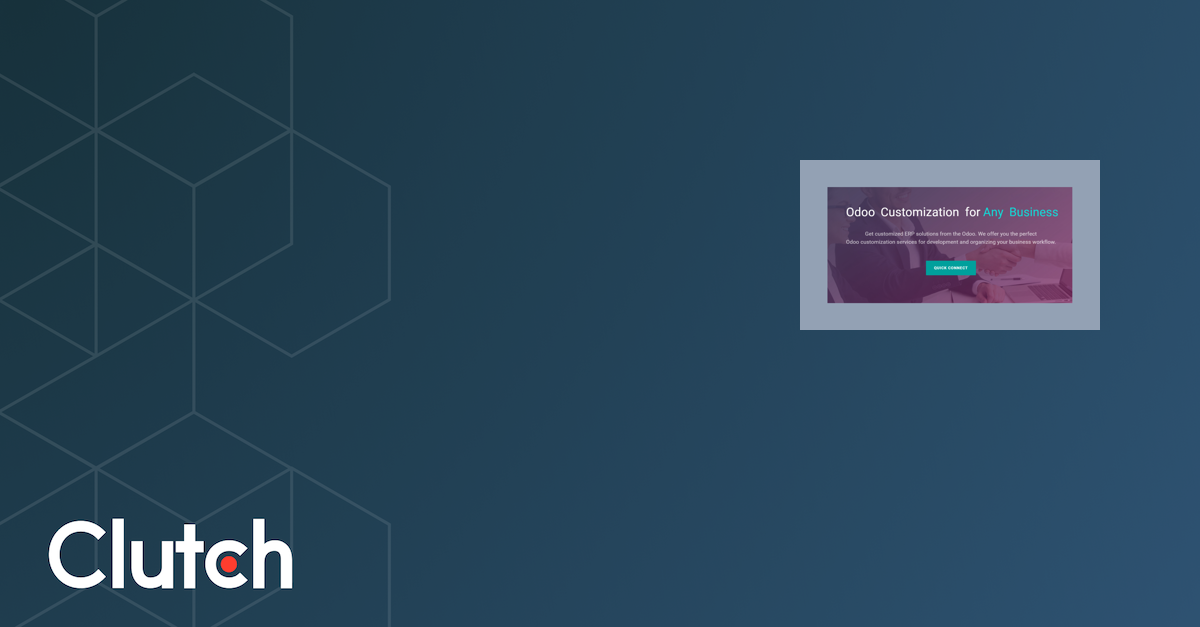 Odoo customization - Services & Company Info