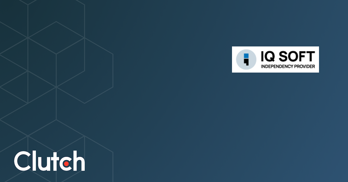 IQsoft LLC - Services & Company Info