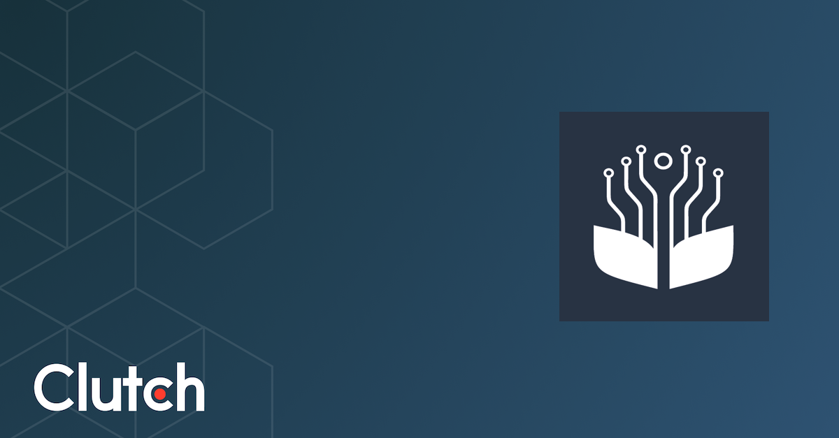 Raphus Solutions - Services & Company Info