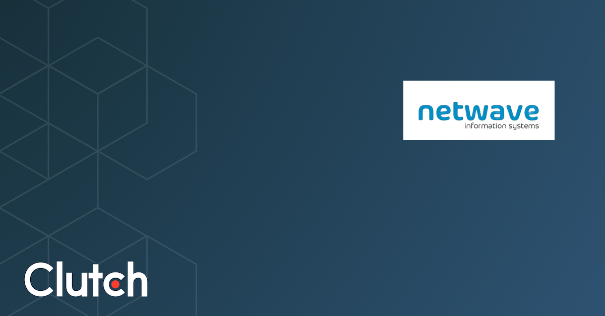 Netwave Information Systems - Services & Company Info