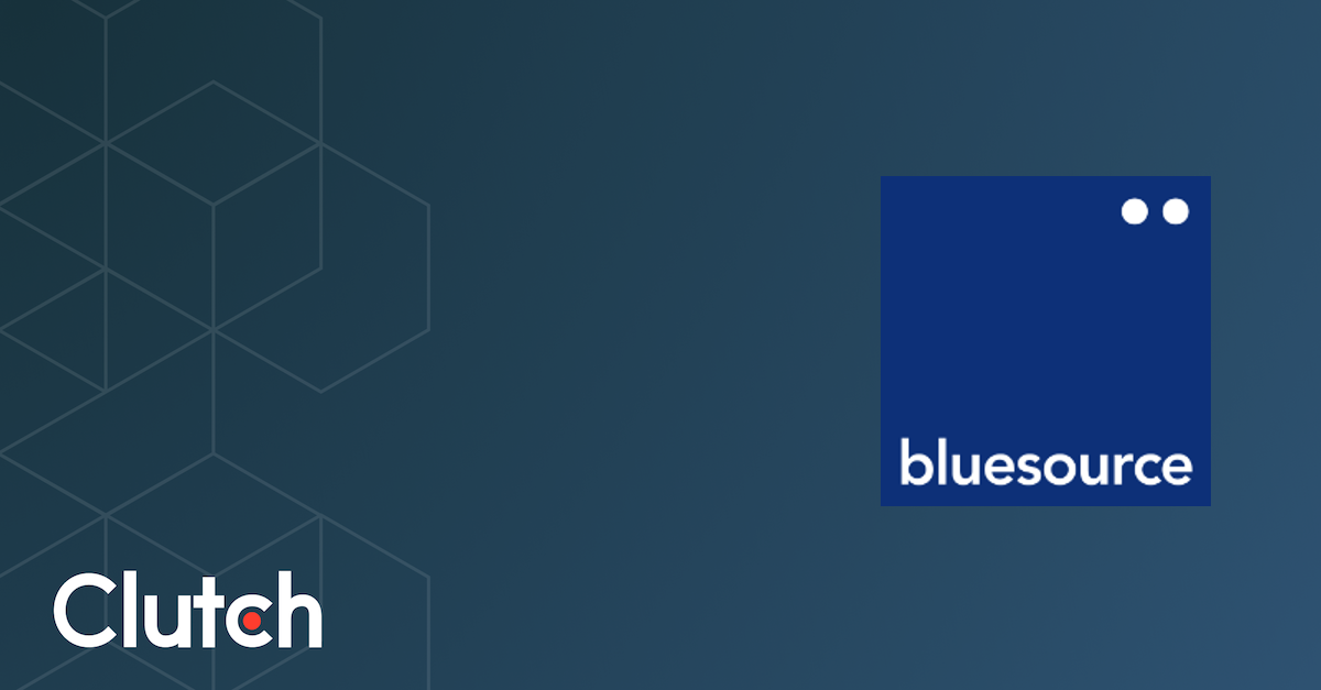 bluesource - Services & Company Info