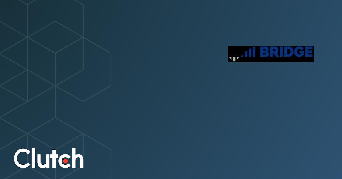 Bridge Development Partners - Services & Company Info