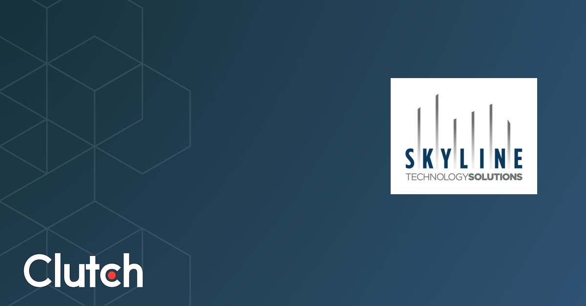 Skyline Technology Solutions - Services & Company Info