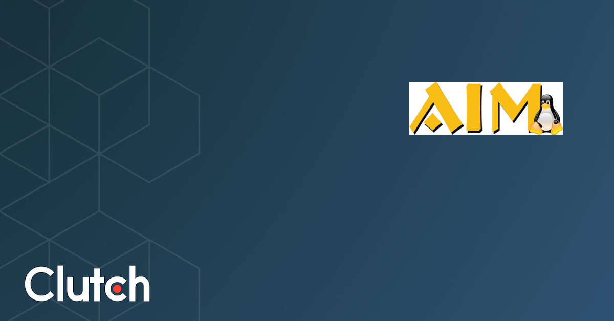 AIM IT Services - Services & Company Info