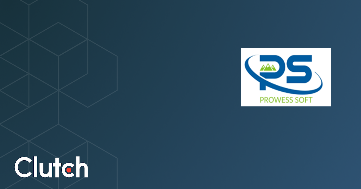 Prowess Software Services PVT LTD - Services & Company Info